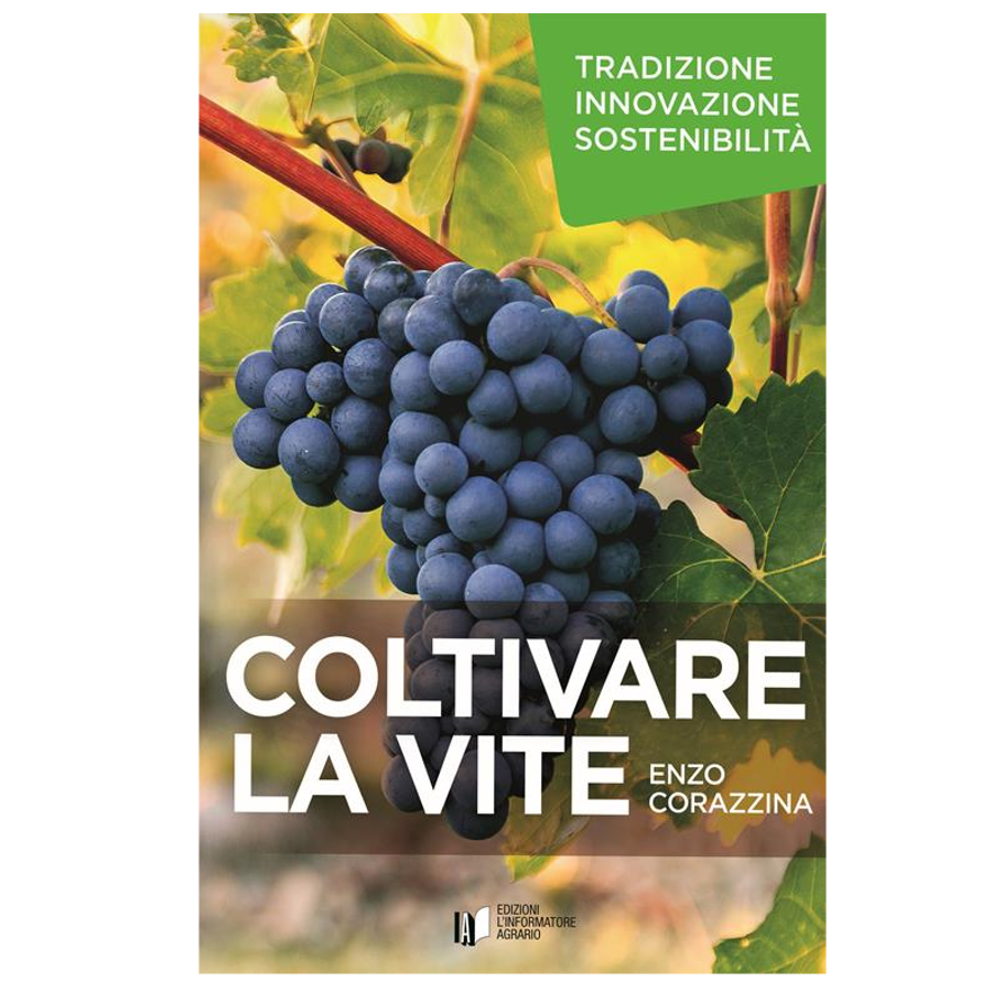 Coltivare La Vite - Tradizione, innovazione, sostenibilità. – Di Mauro ...